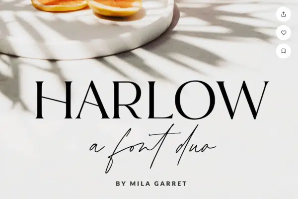 25+ Best Spa Fonts to Rejuvenate Your Designs