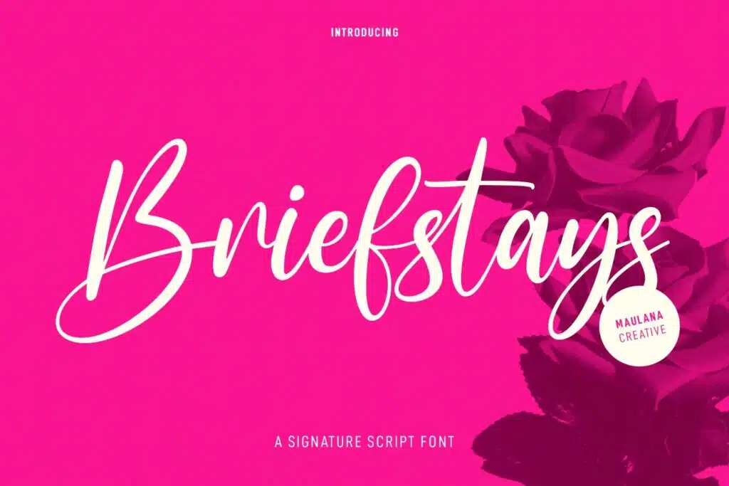 37+ Best Curvy Fonts in 2023 (Free & Pro)