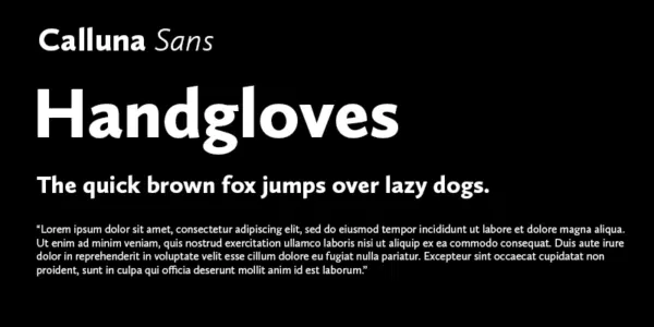 30+ Humanist Fonts that Exude Personality