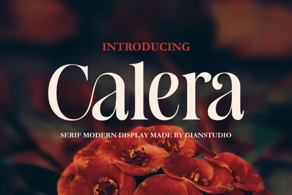 25+ Best Sticker Fonts for Stand-Out Designs