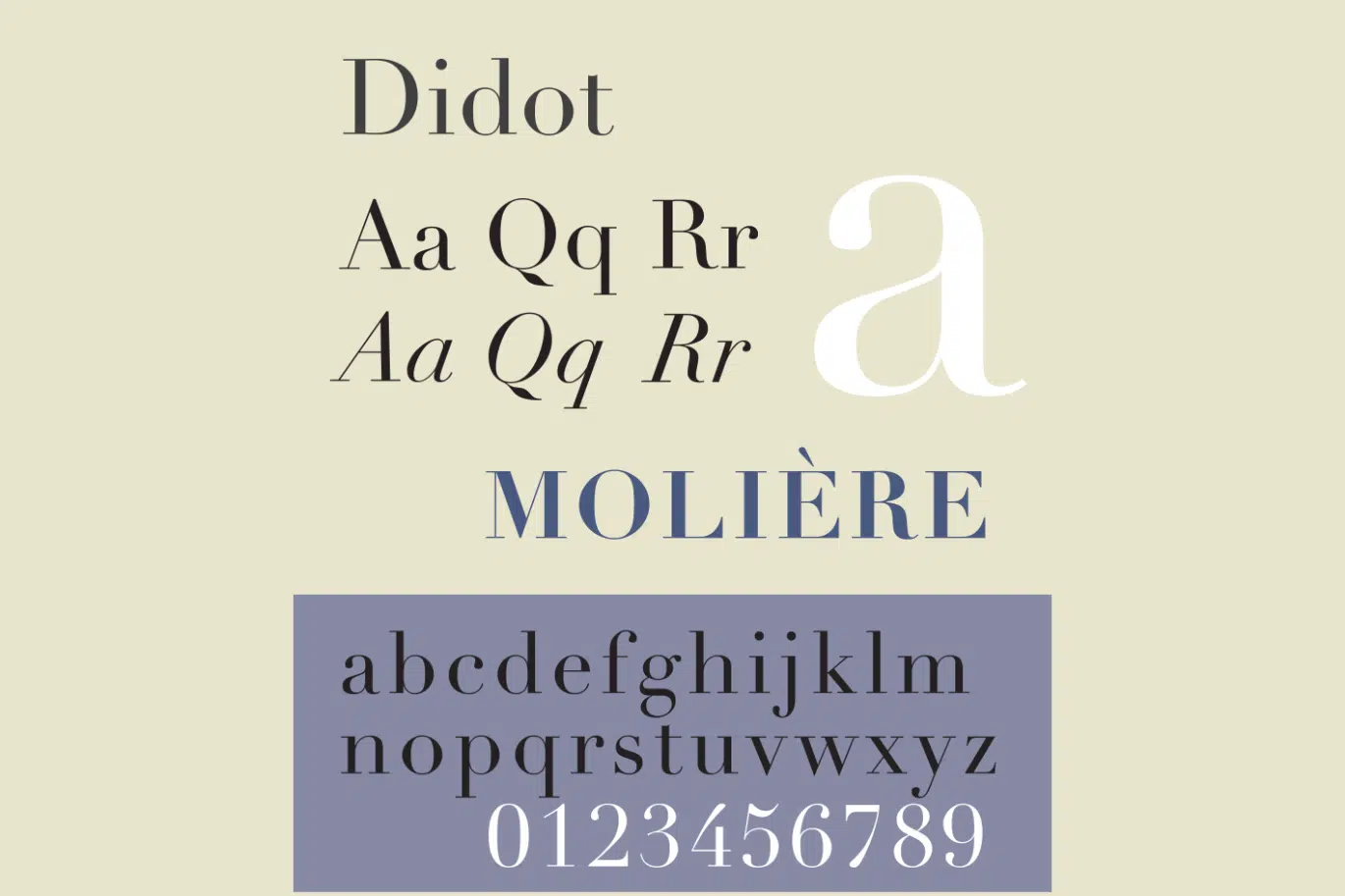 10 Top Wes Anderson Fonts for Evoking Vintage Charm